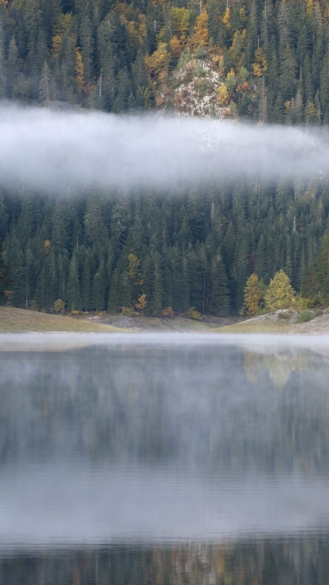 Our Work | WWF Impact Ventures